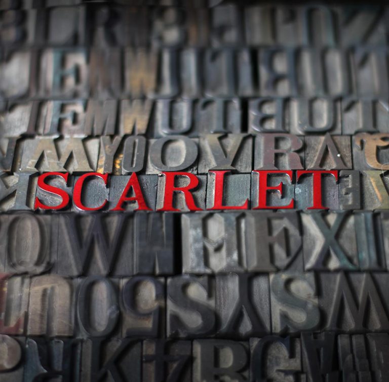 Scarlet Graphic Design - Creative Activists Content Creation – Totnes